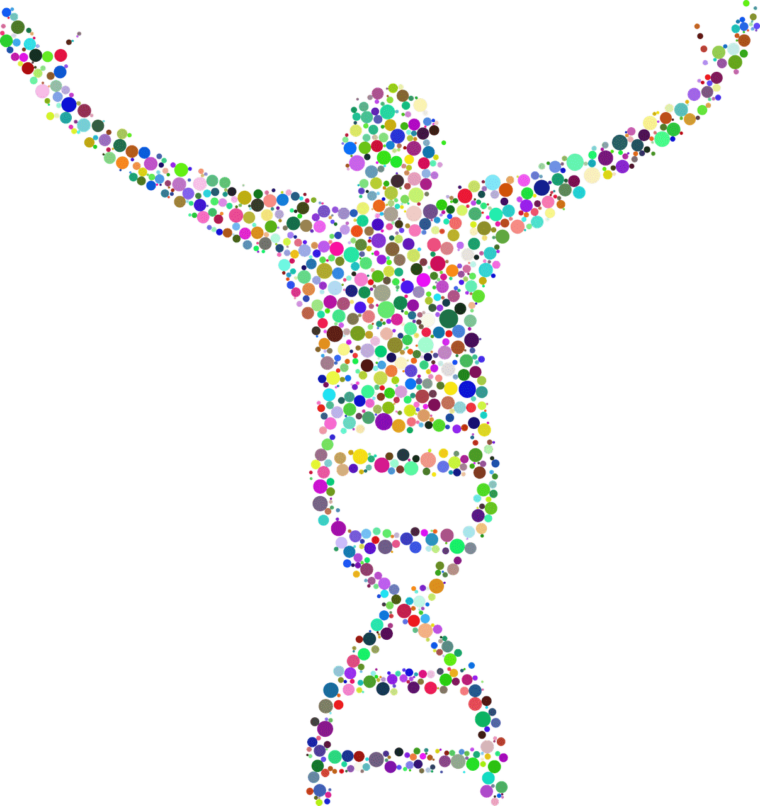 Health & Wellness: DNA Methylation - El Paso, TX Health Coach Clinic